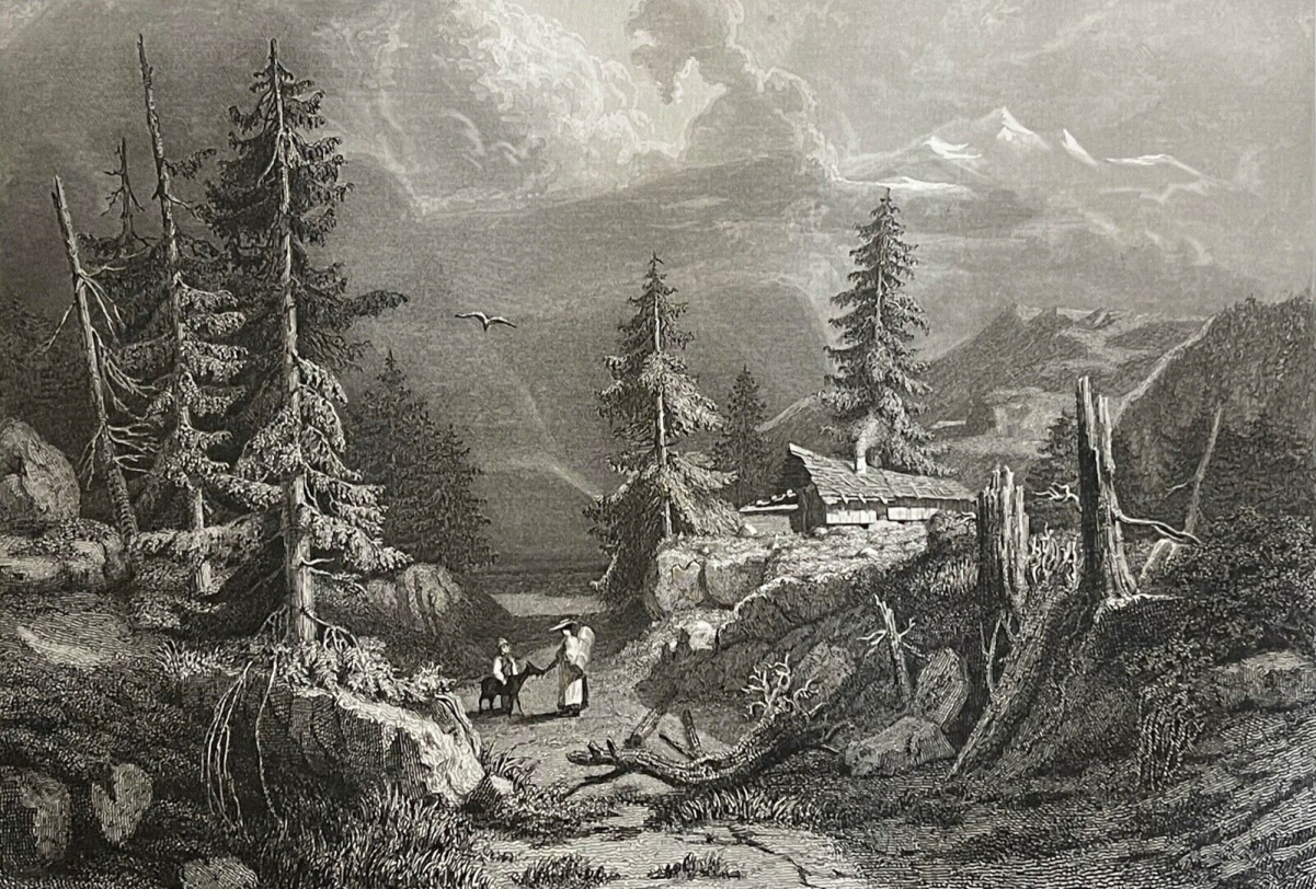 Suisse vue prise du chalet de la Handeck Hasli gravure de Girardet vert ...